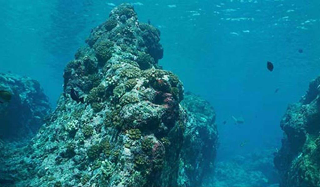 Deep Blue Sea Enterprise - GOAF HOLDING